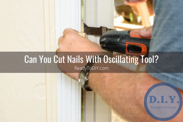 What Can You Use To Cut Nails (How To) - Ready To DIY