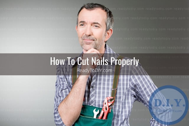 What Can You Use To Cut Nails (How To) - Ready To DIY