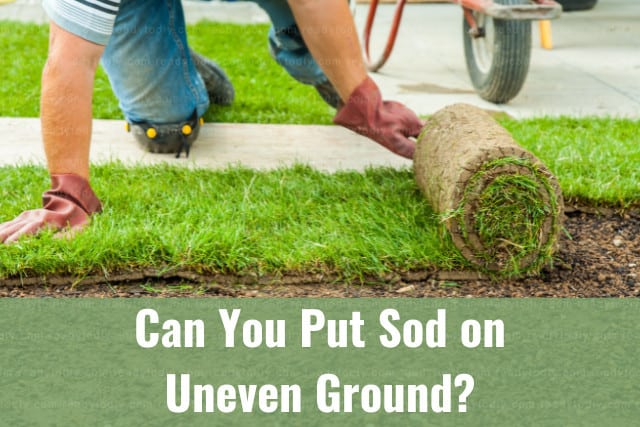 Can You Put Sod on Uneven Ground? (How To) - Ready To DIY