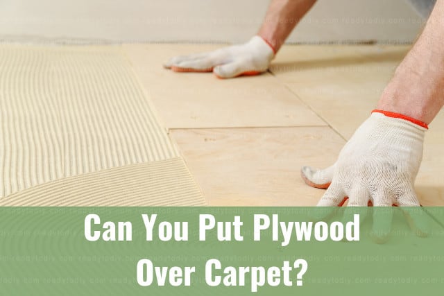 Can You Put Plywood Over Carpet? (How To) - Ready To DIY