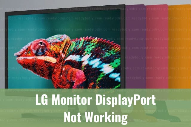 LG Monitor DisplayPort Not Working (How to Fix) - Ready To DIY