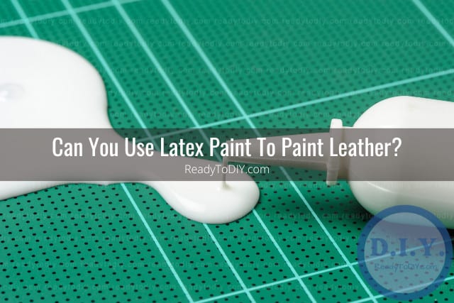 What Paint Can You Use On Leather? (How To) - Ready To DIY