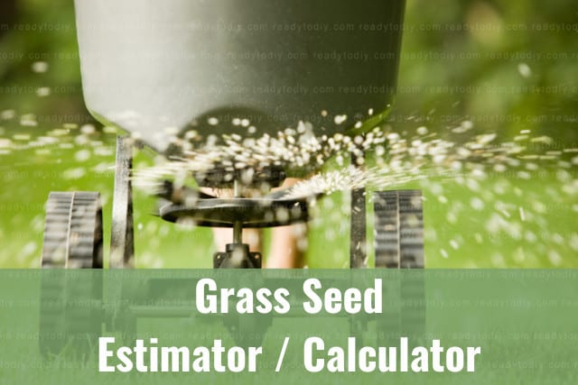 Grass Seed Estimator / Calculator - Ready To DIY