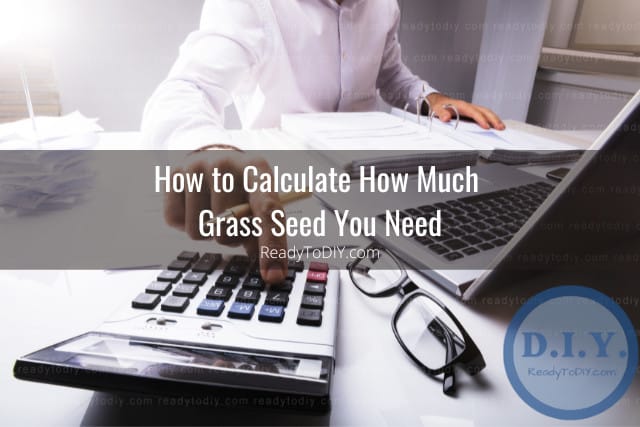 Grass Seed Estimator / Calculator - Ready To DIY