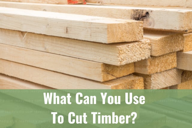 What Can You Use To Cut Timber? (How To) - Ready To DIY